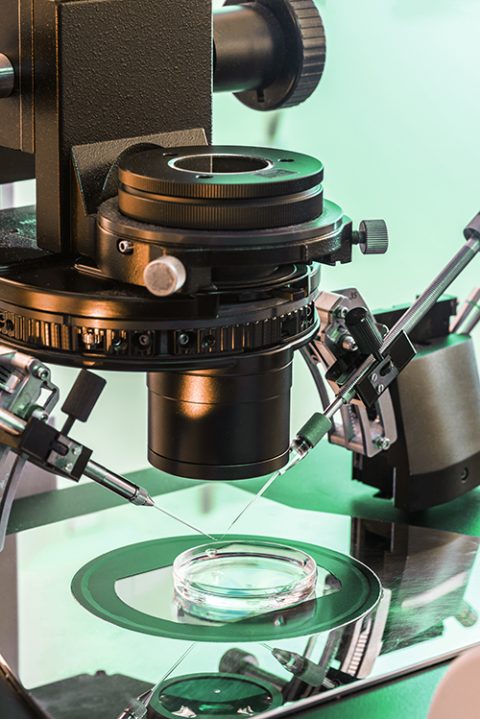 Equine Fertility Institute | Advanced Breeding Technologies